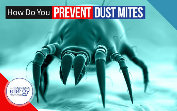 How to Prevent House Dust Mites | AllergyStore.Com