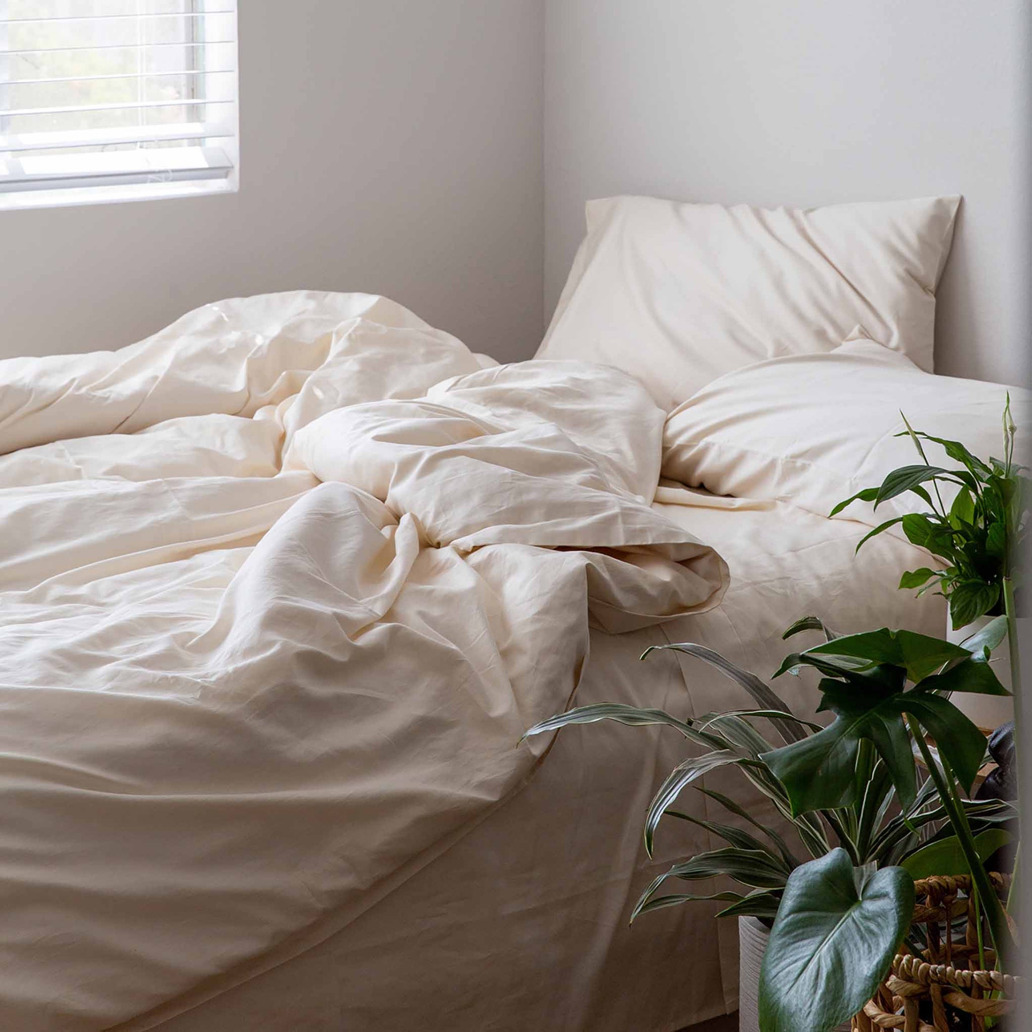 Allergy Proof Duvet and Comforter Covers for Dust Mite Allergies