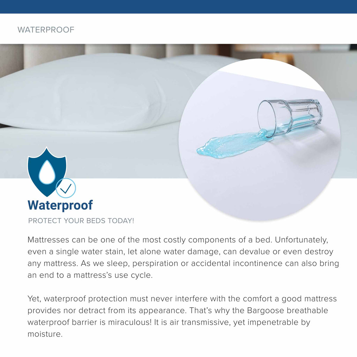 Bed Bug Mattress Protectors and Covers - Proven to Stop Bed Bugs